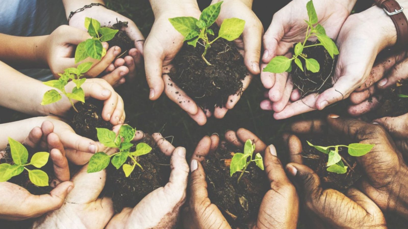 Correcta | Responsabilidade Social